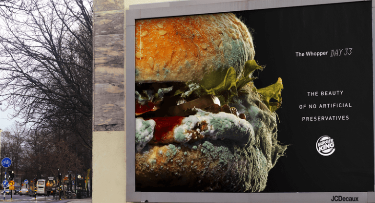 15 Fascinating History Facts and Intriguing Stories That Define Burger ...